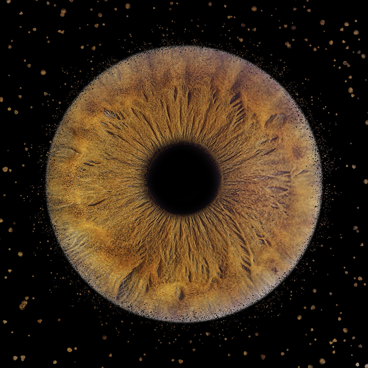 Photographe Iris Lyon Grenoble Annecy Chambery - Onaya Studio Photographe